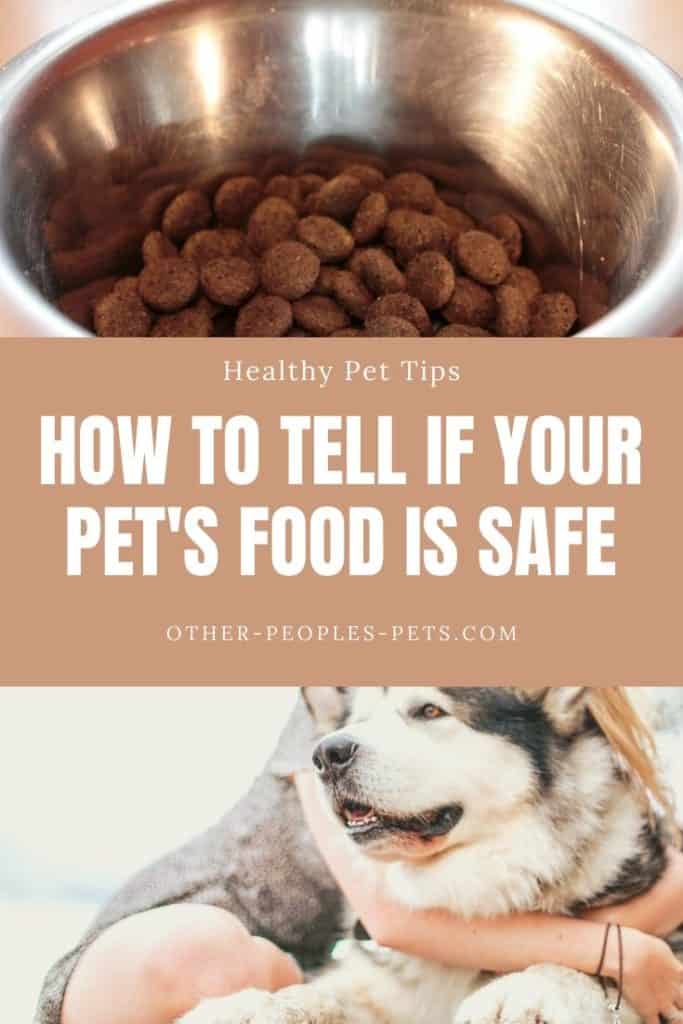 Is Your Pet's Food Safe? Here's What You Need to Know