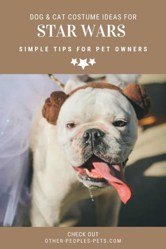 9 Adorable Star Wars Pet Costumes for Animal Lovers