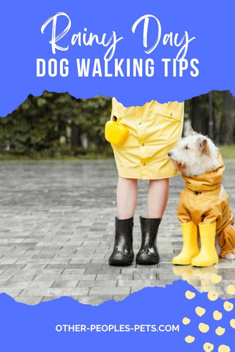 Rainy Day Dog Walking Essentials- Other People's Pets