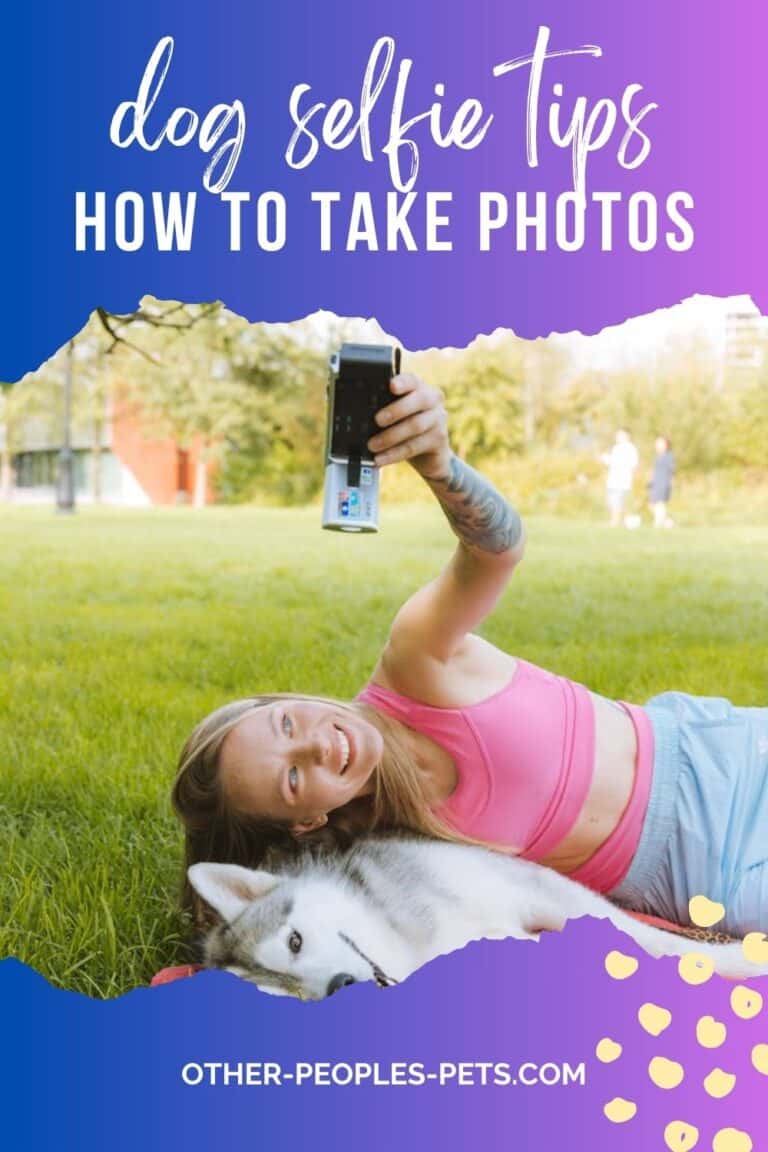 How to Get Your Dog to Smile for a Selfie: A Guide for Pet Lovers ...
